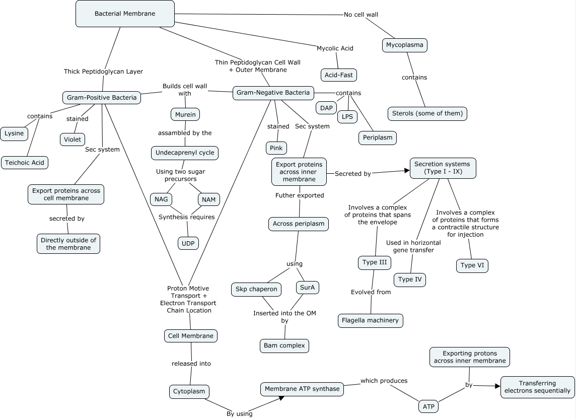 Concept Map (Ryan Stephenson)